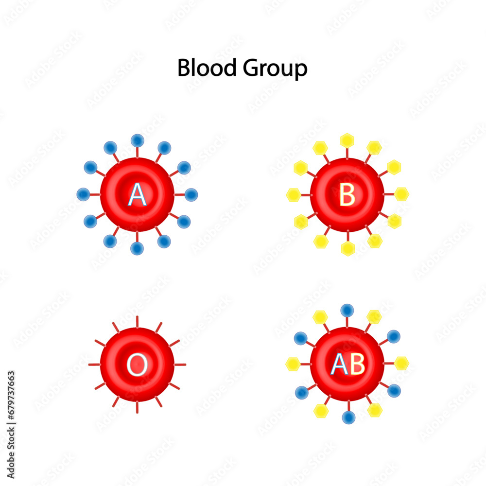 ABO Blood groups. four blood types, A,B, AB and O groups, made up from ...