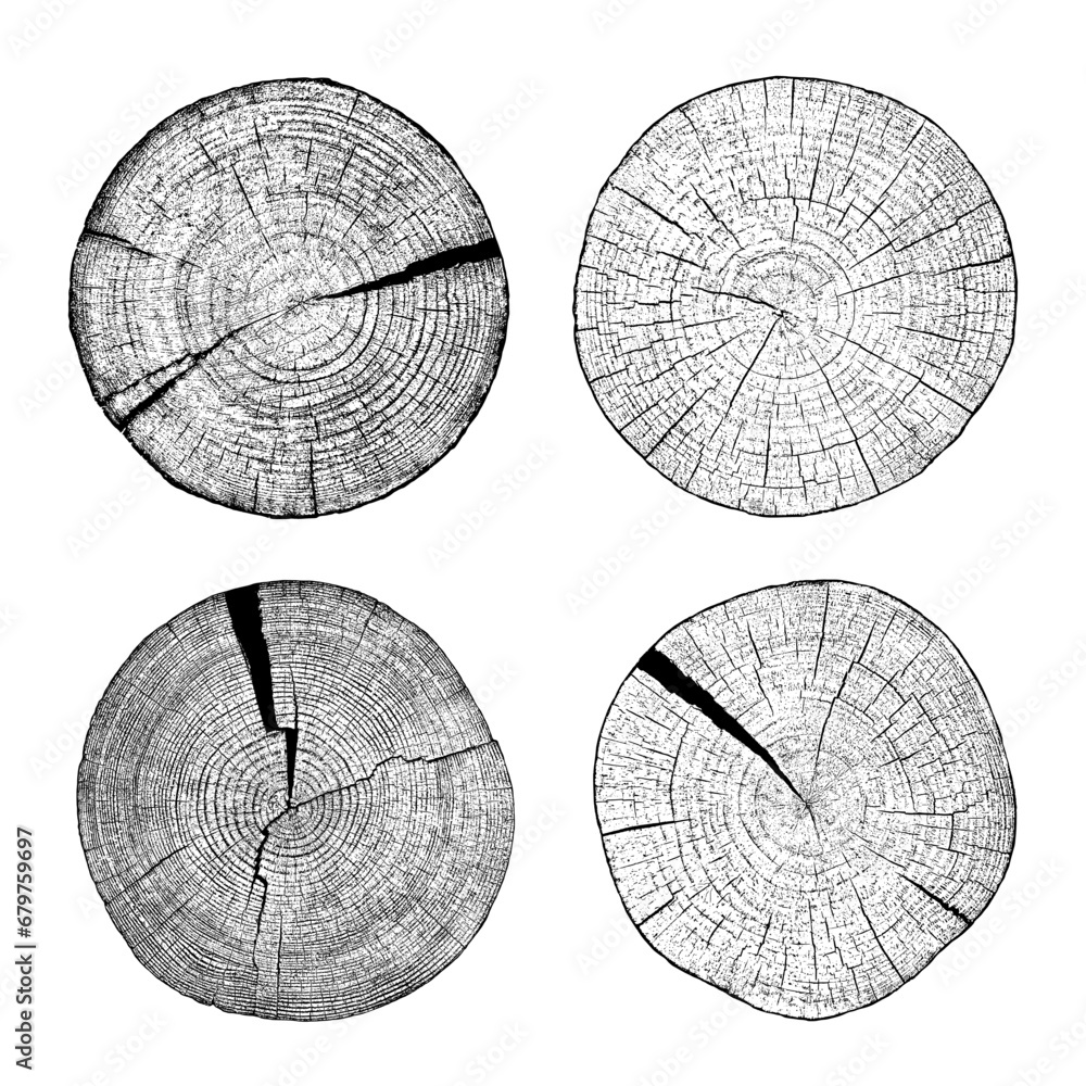 Wood texture cross section of tree rings. Cut slice of wooden stump ...