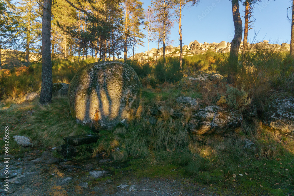 Fresh water from spring Fonte Vale do Rossim Golden flowing out of ...