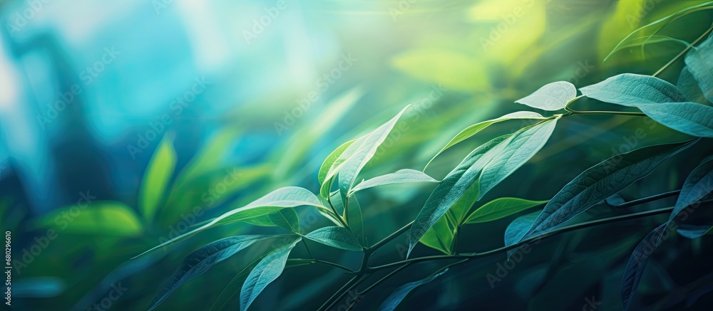 background, an abstract pattern of textures and colors emerges ...