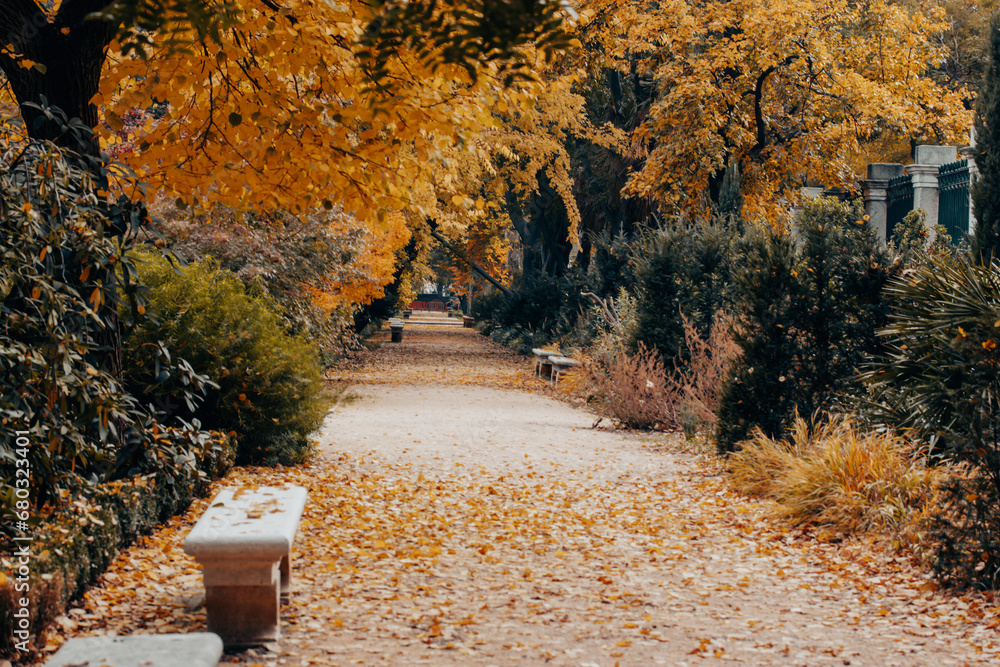 Straight path, walkway in a botanical garden, park. A stone bench on an ...