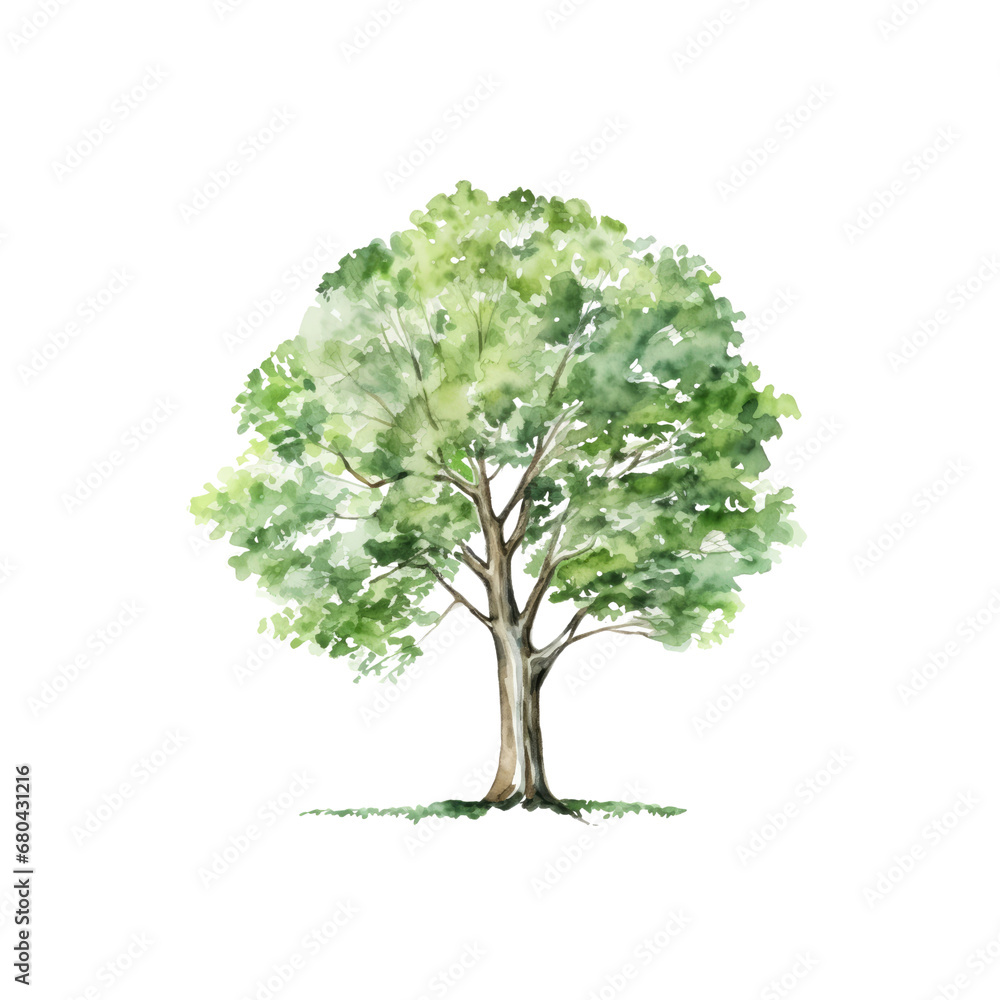Tree watercolor clipart crop picture use Set of hand drawn trees ...