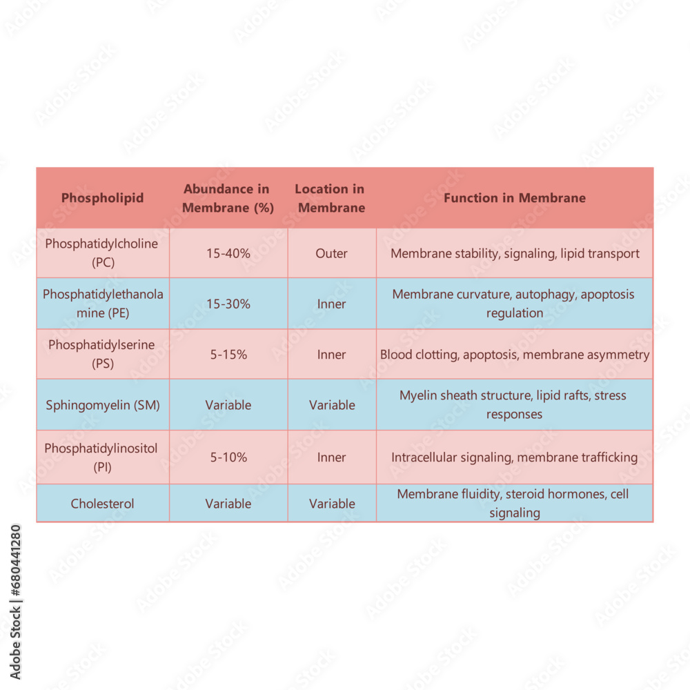 Table showing Phospholipids types, membrane abundance and location and ...
