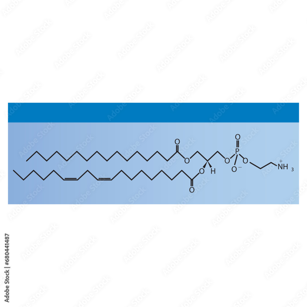 Diagram showing schematic molecular structure of ...