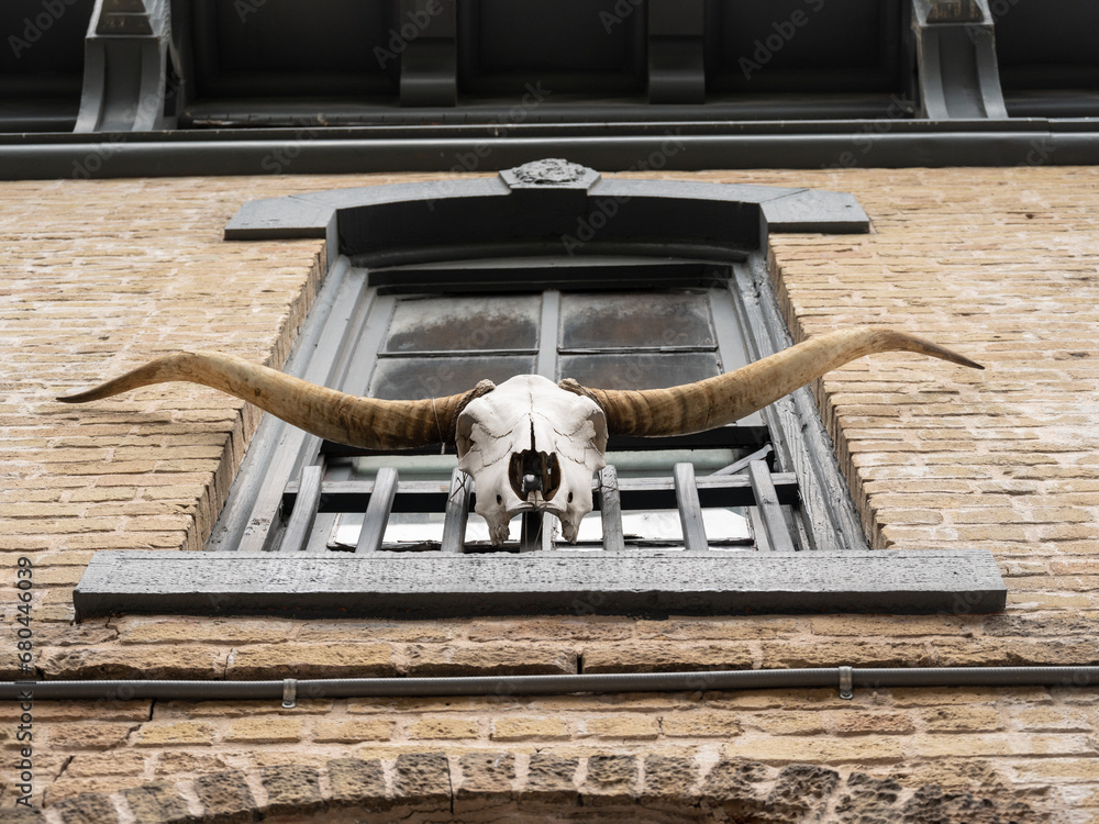 Skull of a longhorn cow mounted in front of a first floor window in a ...