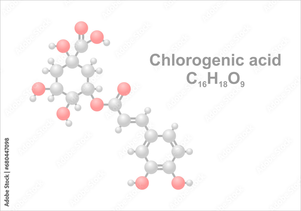 Chlorogenic acid. Simplified scheme of the molecule. Substance is ...