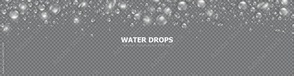 Realistic water drops or dew macro transparent background. Template of ...