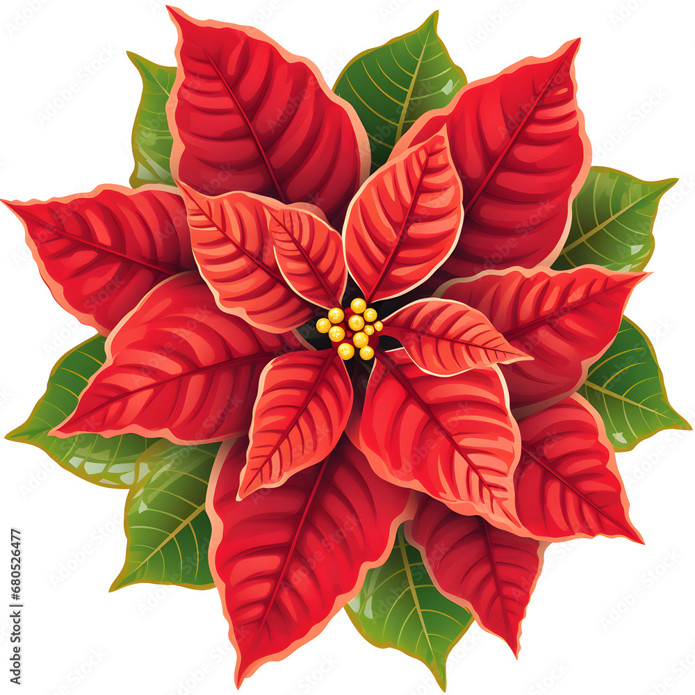 clipart of Poinsettia flower, christmas clipart, x-mas, holiday ...