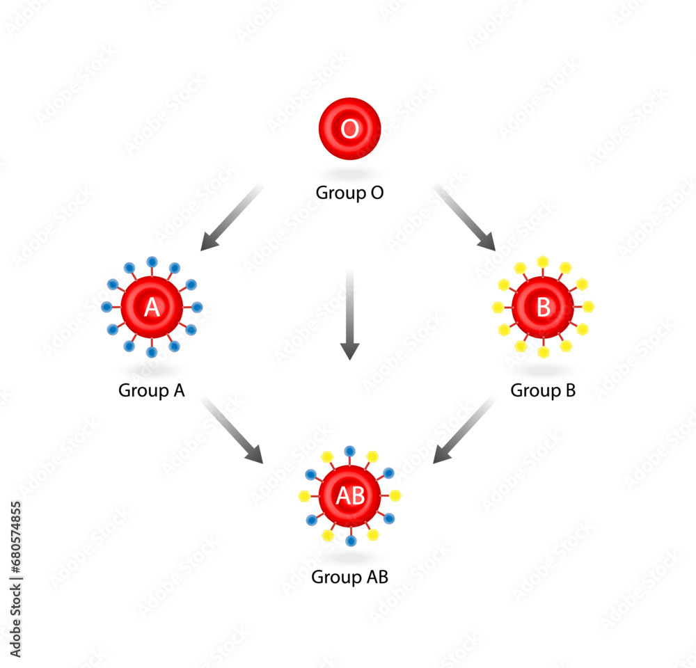 Blood compatibility, Blood donation, ABO Blood groups droplets., four ...