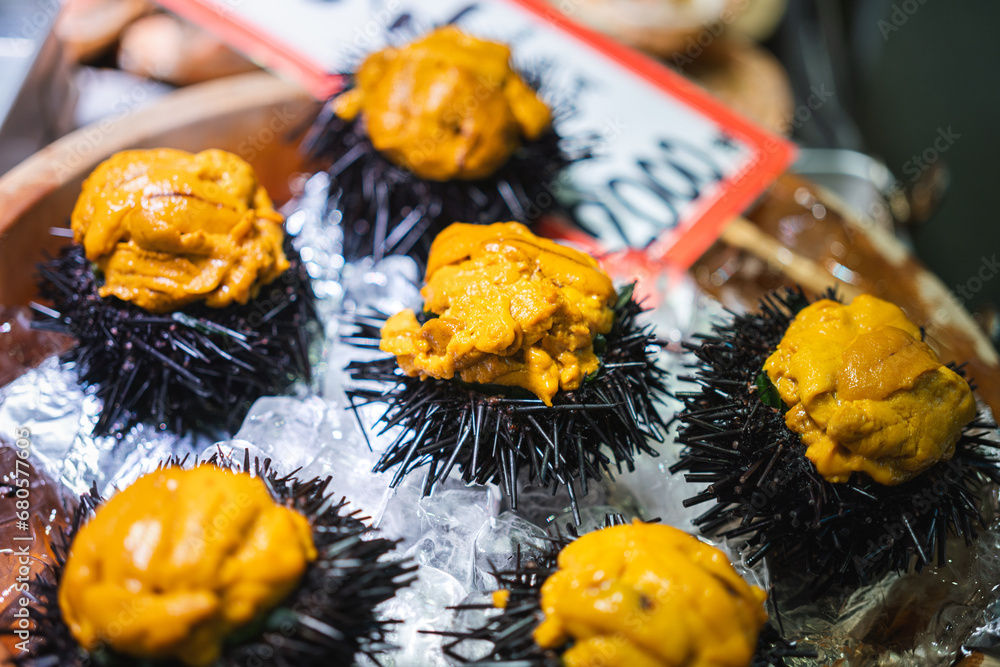 Raw sea urchin meat for sashimi cooking, placed on iced basket at the ...