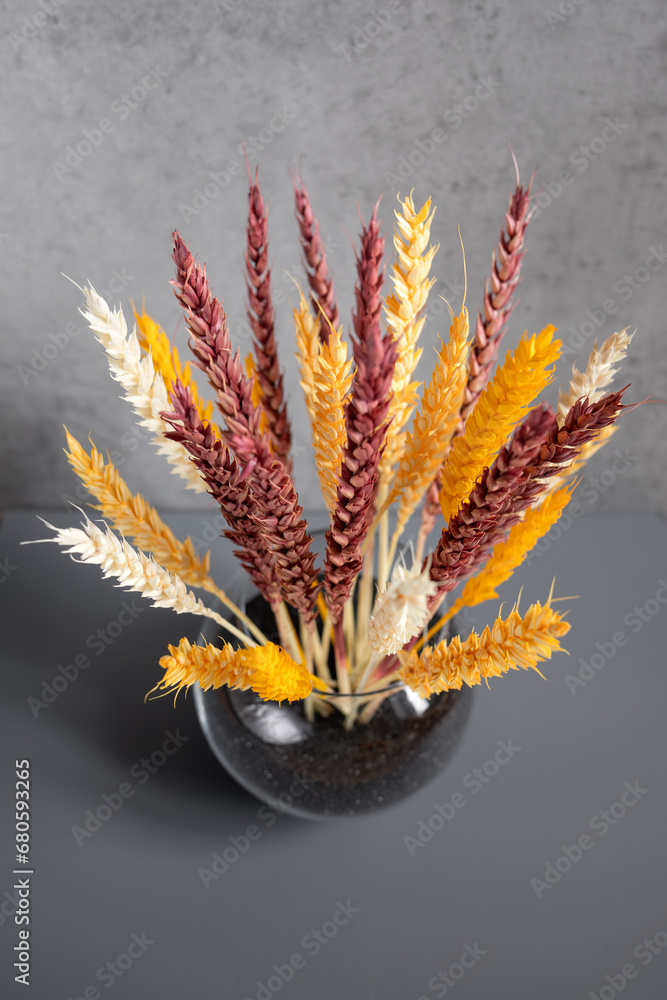 Colored wheat. Round glass vase. Symbol of Ukraine. Painted dried ...