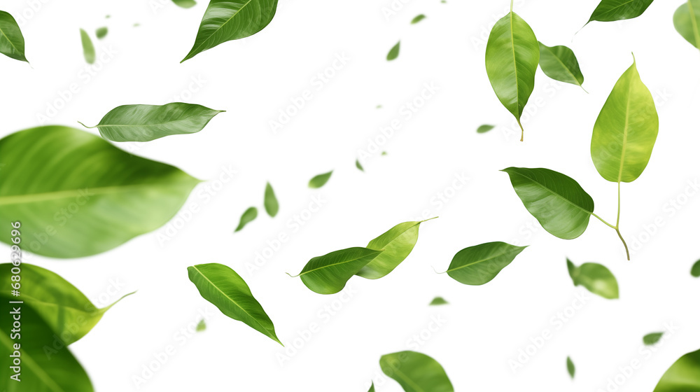 Green Floating Leaves Flying Leaves Green Leaf Dancing isolated on ...