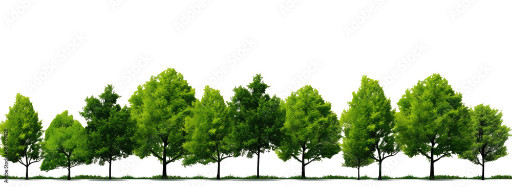 Photo & Art Print Green Trees on a transparent background, Sasint
