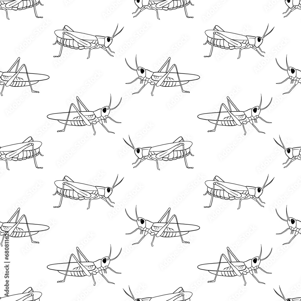 Vector Seamless pattern with grasshopper outline illustration. Line ...