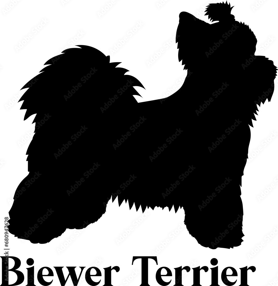 Biewer Terrier. Dog silhouette dog breeds logo dog monogram logo dog ...