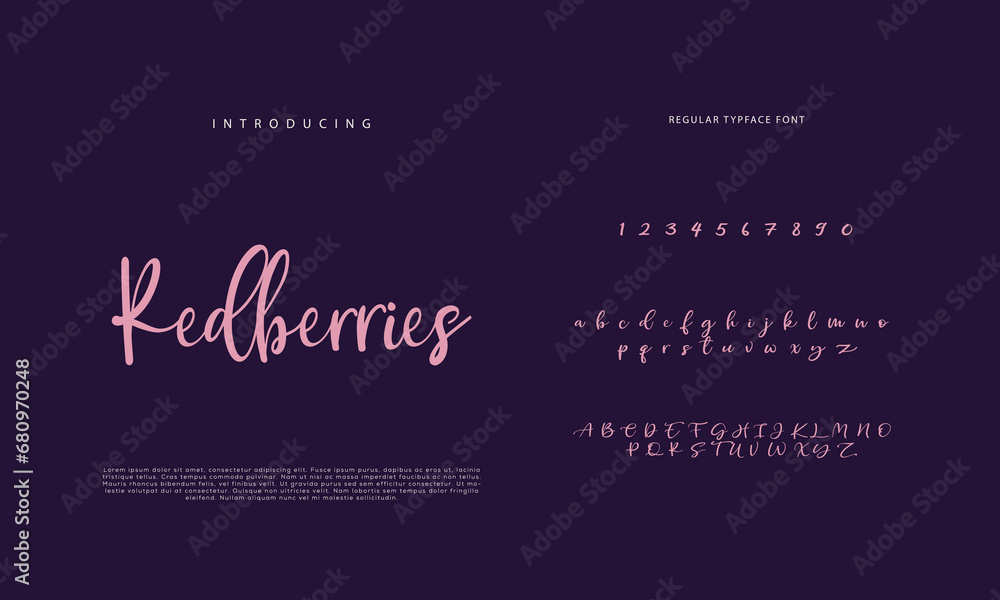 Handwritten Script font. Hand drawn brush style modern calligraphy ...