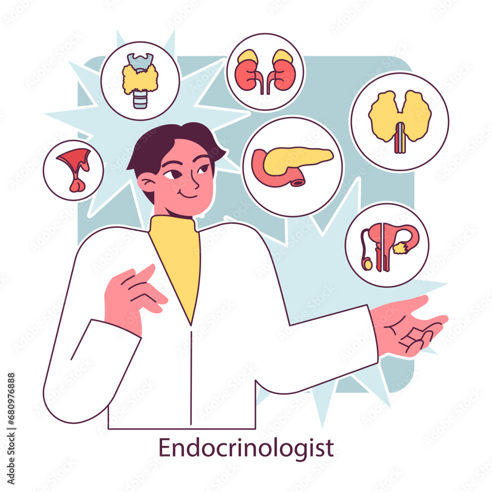 Endocrinology. Endocrine system organs, pancreas thyroid gland ...