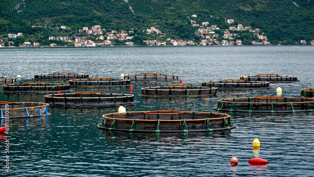 Round floating fish farms on the sea. Growing seafood, mussels and ...