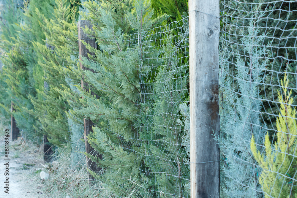 Valla metalica con madera y arboles en el limite del camino separando ...