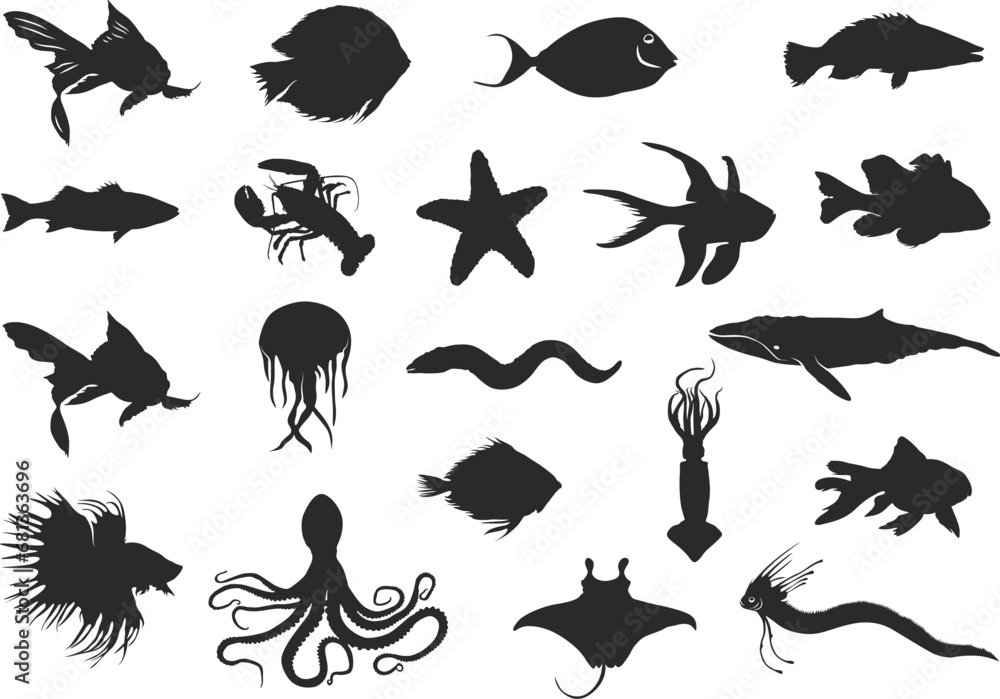 Sea fish silhouette, Fish clipart, Fish silhouette, Saltwater fish ...