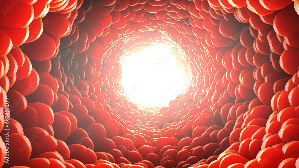 View through a blood vessel inside the human circulatory system Stock ...