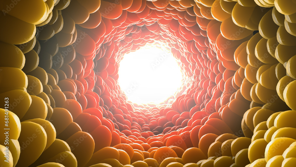 View through a blood vessel inside the human circulatory system Stock ...