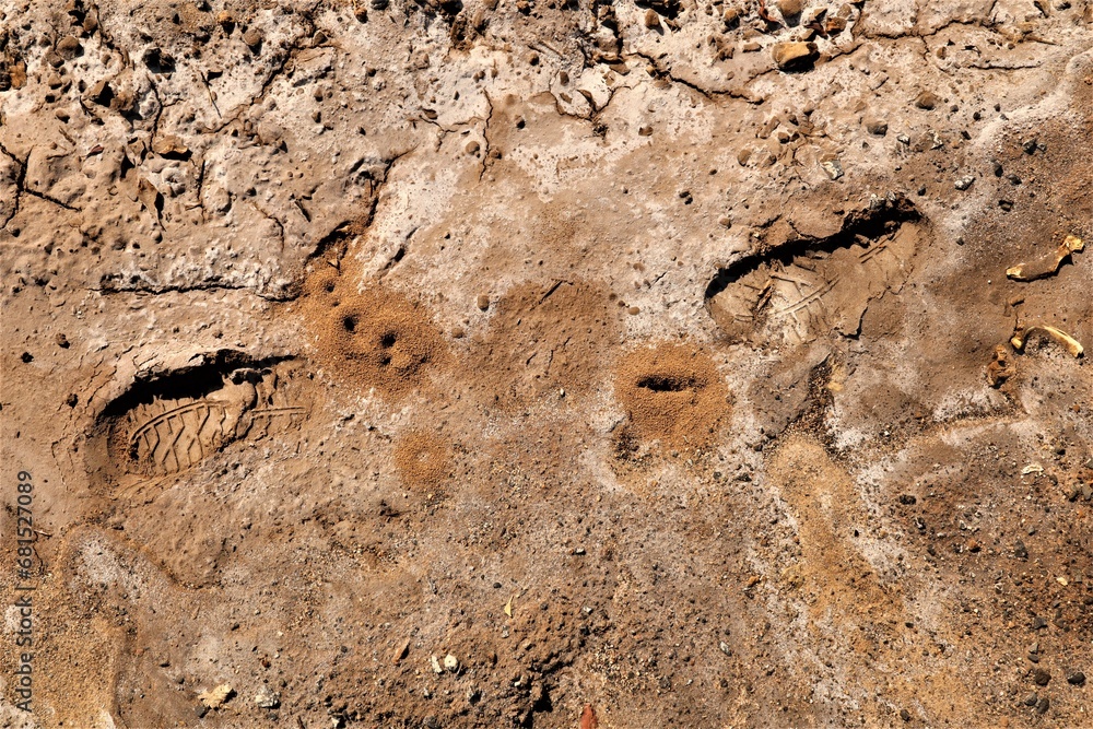 The size of Anthills compared to a man's footprints in the park's sandy ...
