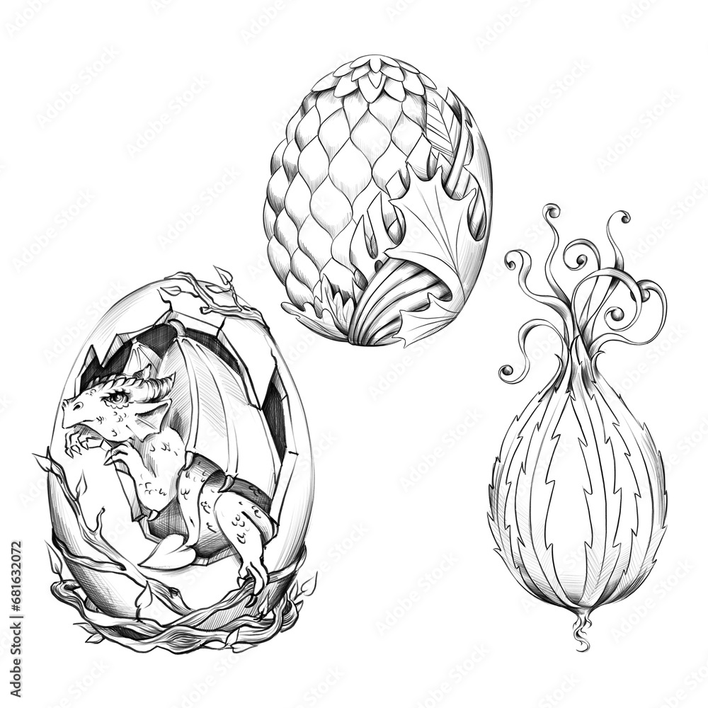cute wood Dragon hatch from the egg hand drawn line illustration ...