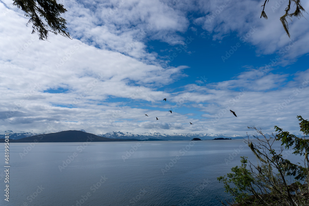 Bald Eagle and crows near. Juneau, Alaska area Pearl Harbor Bay on ...