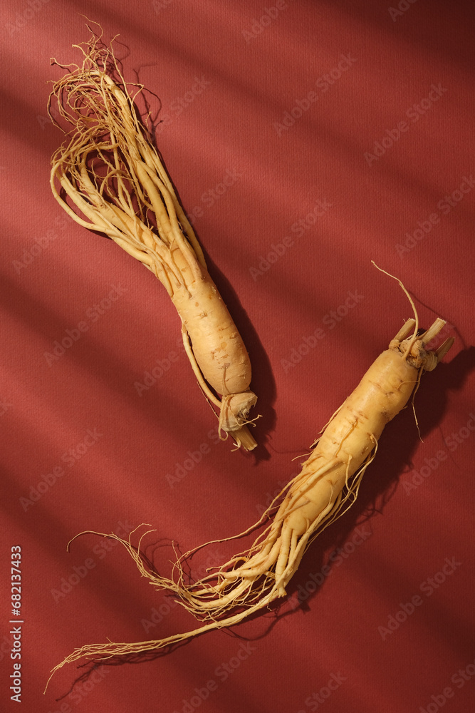 Against the red background with window shadow, two ginseng roots ...