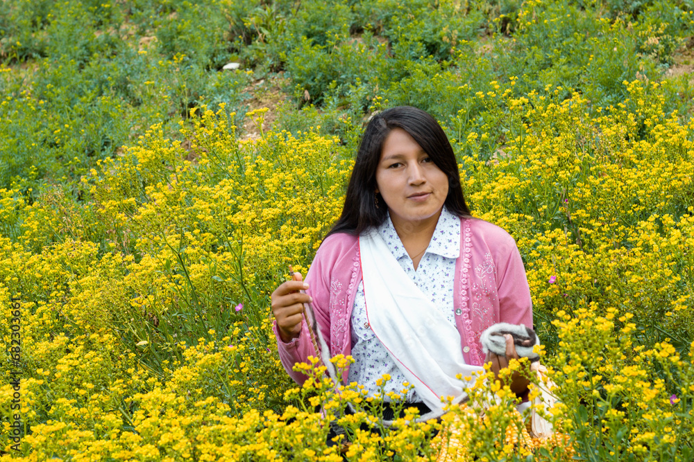Mujer andina latinoamericana haciendo hilados de lana de oveja ...