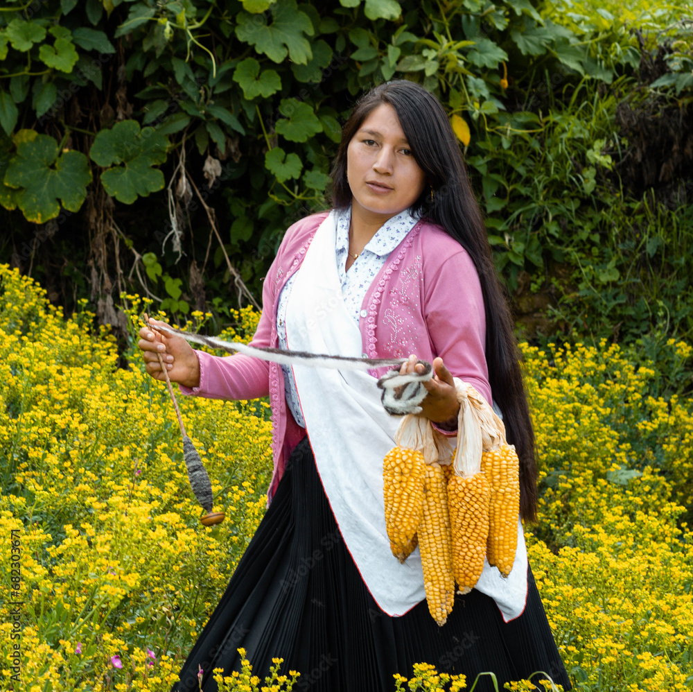 Mujer andina latinoamericana haciendo hilados de lana de oveja ...
