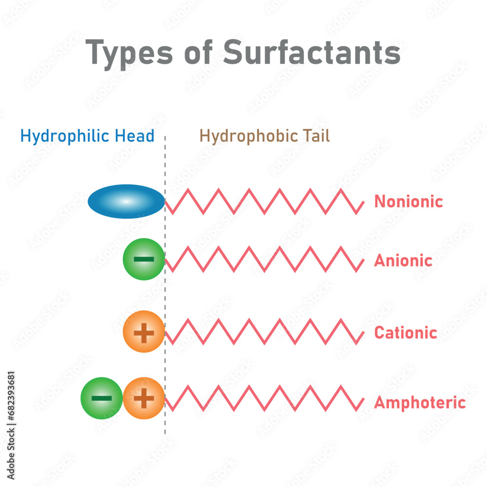 Vecteur Stock types of surfactants. Head and tail of hydrophilic ...