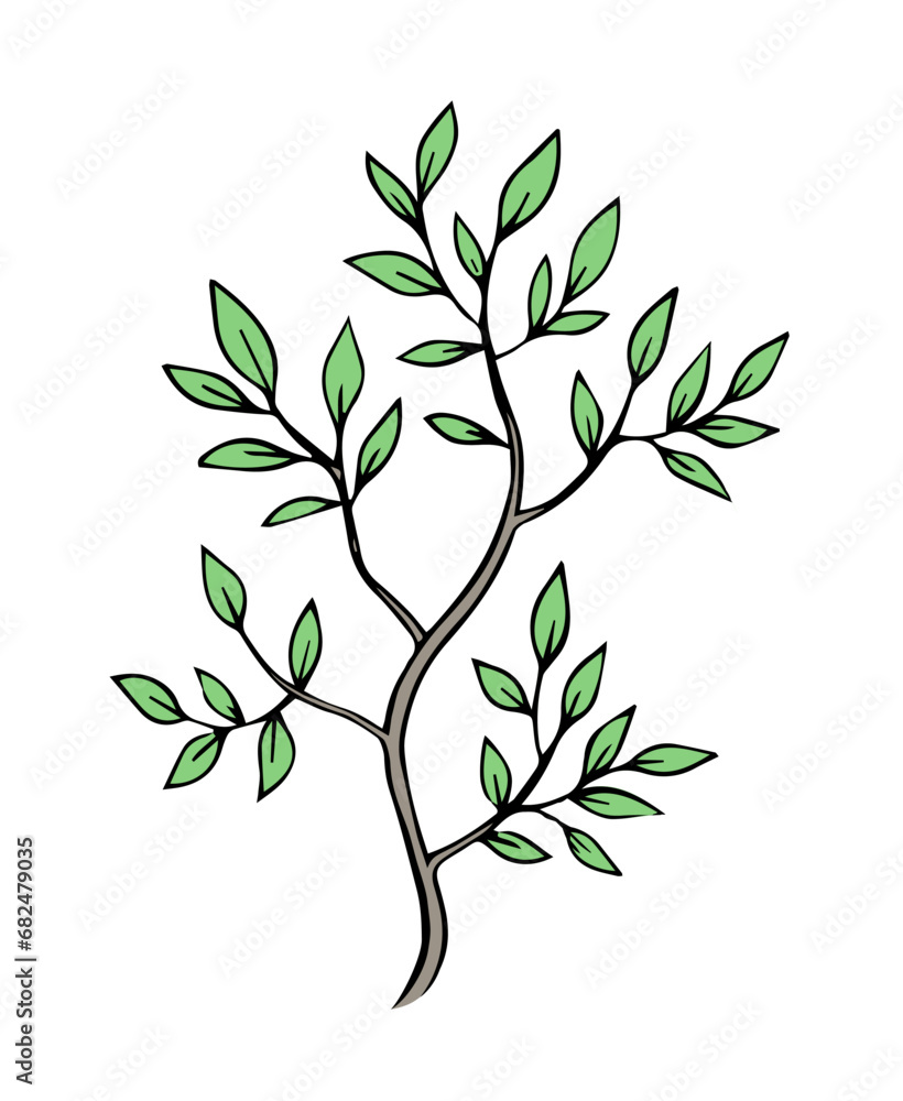 Tree with green foliage. Template element for design and decoration ...
