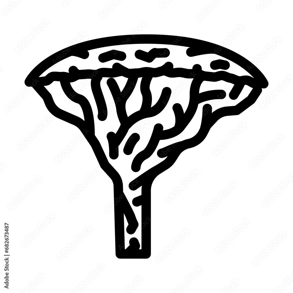 dragon blood tree line icon vector. dragon blood tree sign. isolated ...