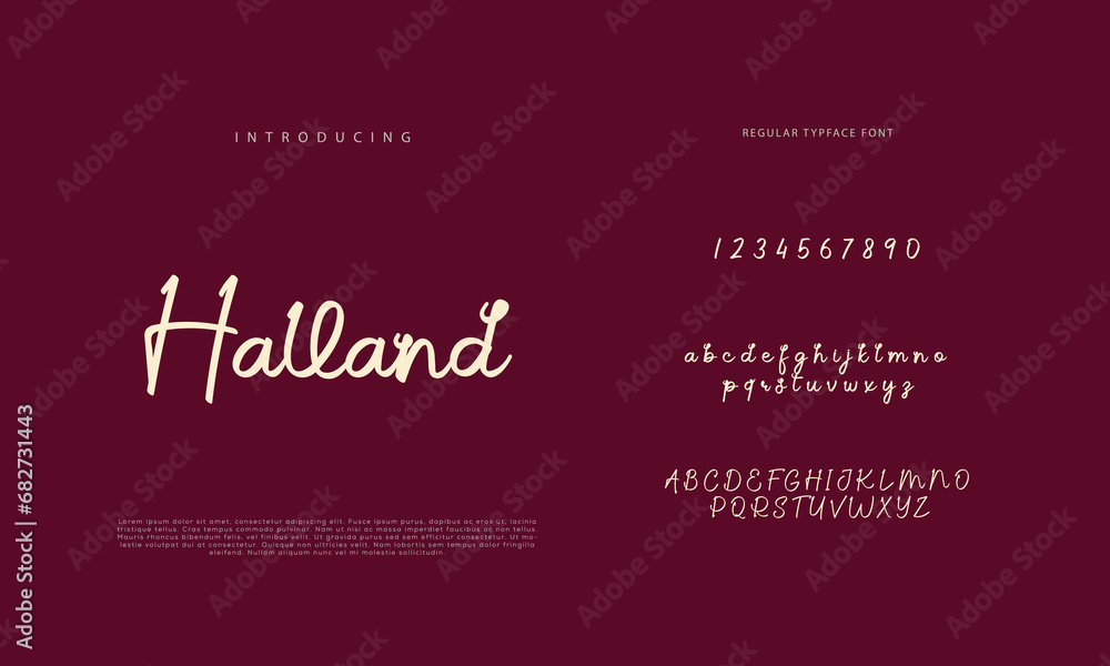 Handwritten Script font. Hand drawn brush style modern calligraphy ...