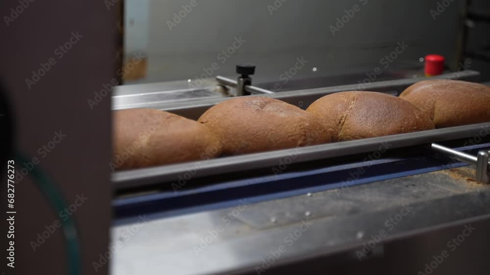 production line of a bakery enterprise close-up of bread moving on the ...