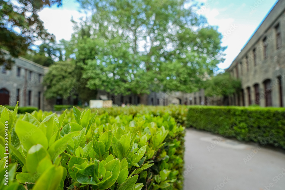 Vorontsov Palace in Crimea in summer. Ancient walls with many columns ...
