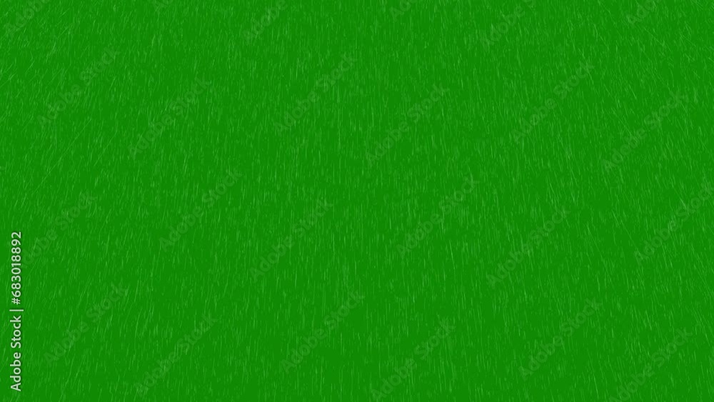 Rain animation on a green screen. Loop animation of Heavy Rain green ...
