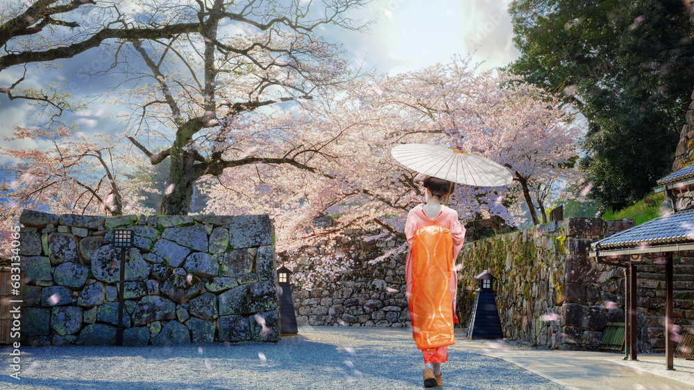 Young Japanese Geisha in an elegant traditional Kimono dress at Hikone ...