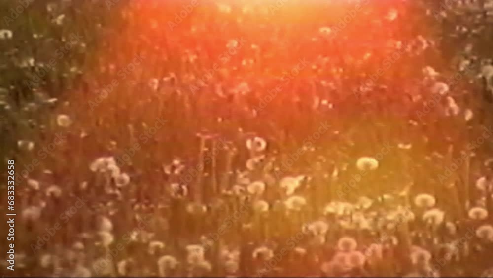 Video Stock Handheld Vhs Vintage Film, VHS-C summer sunset memories ...