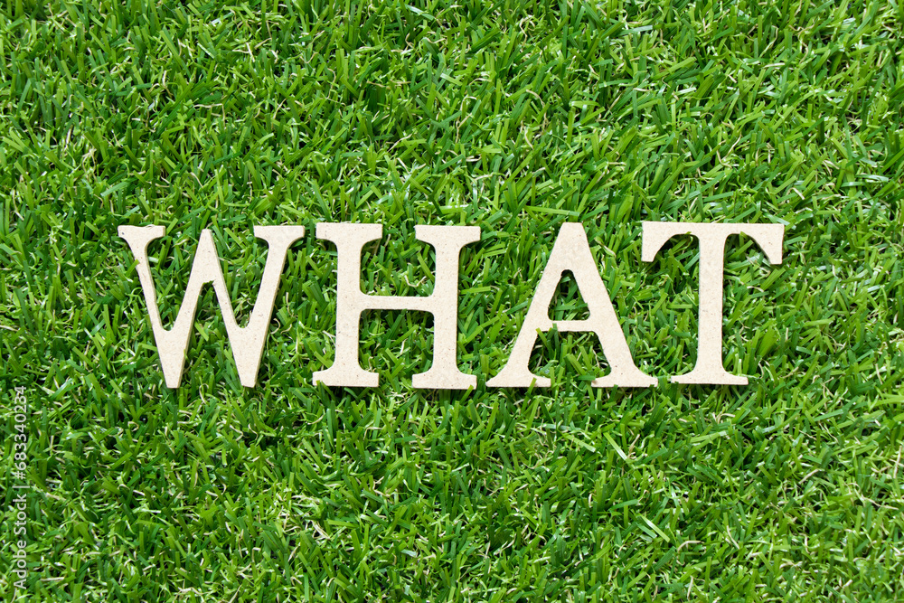 Wood letter in word what on green grass background Stock Photo | Adobe ...