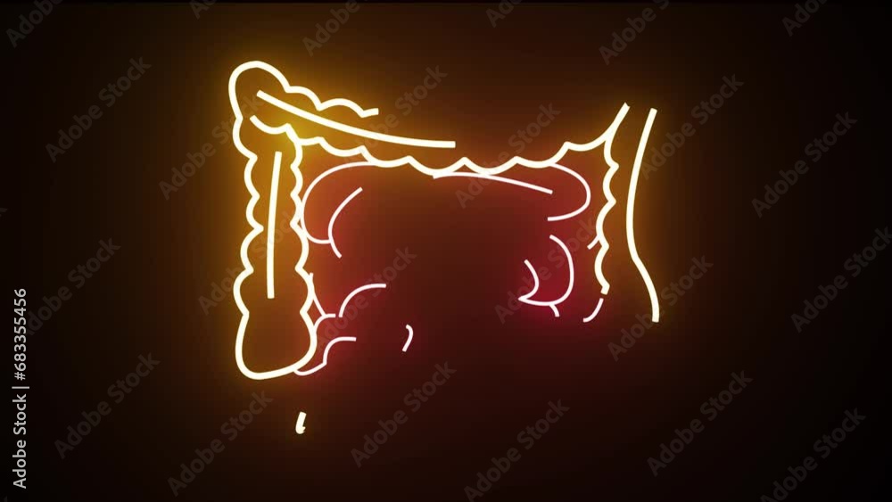 Yellow neon anatomy of the human digestive system. Anatomy of the human ...