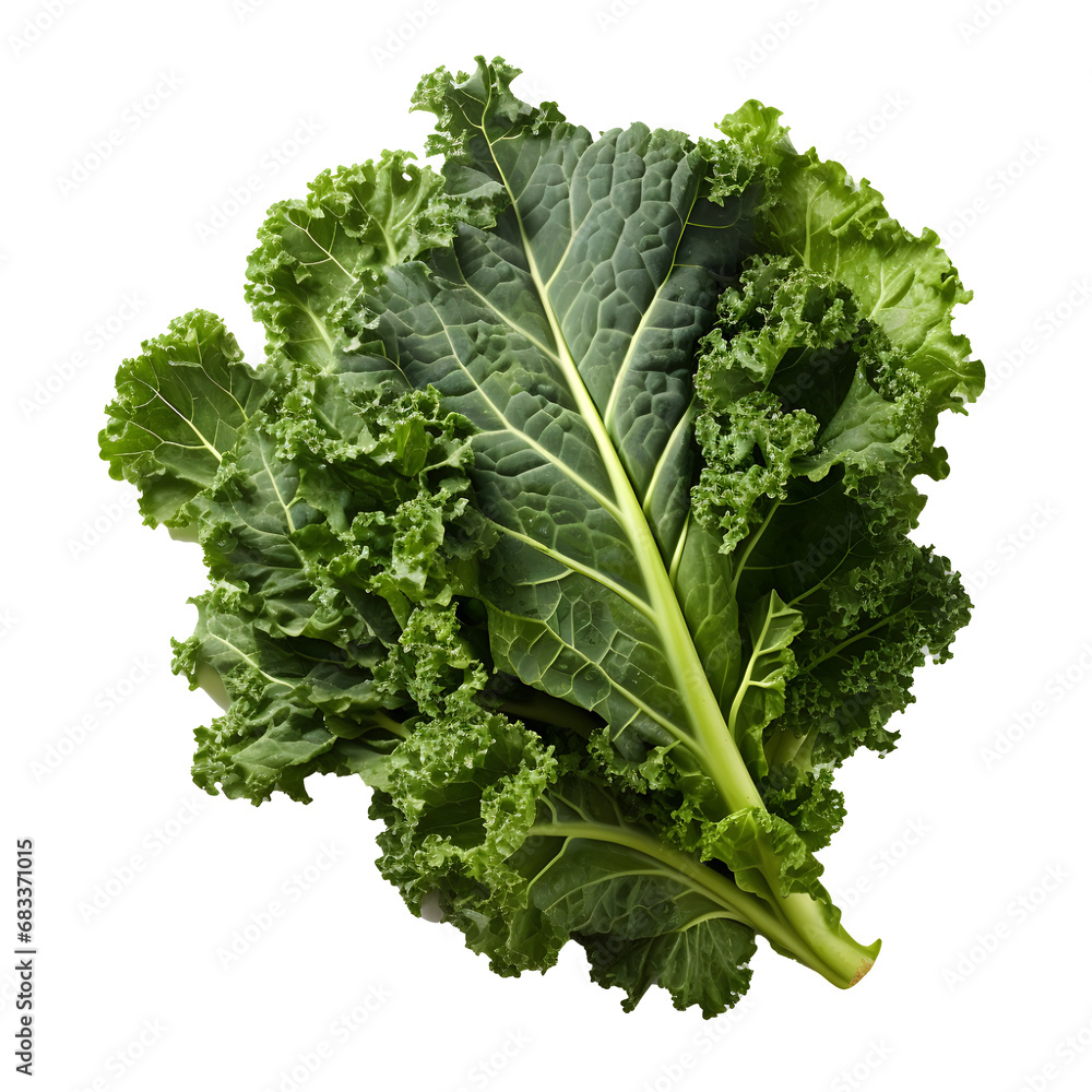 Kale png. Fresh lettuce leaf png. Spinach png. Green leafy vegetable ...