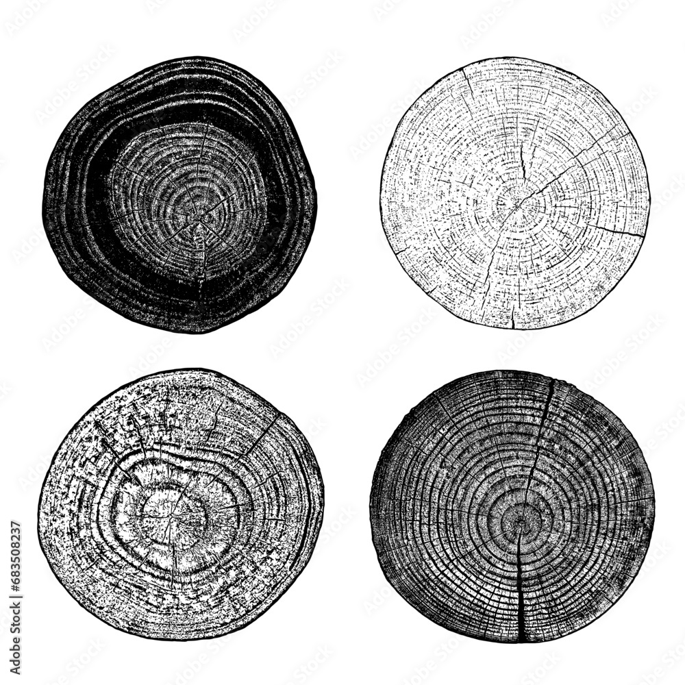 Tree wood texture on white background. Section tree rings cut slice ...