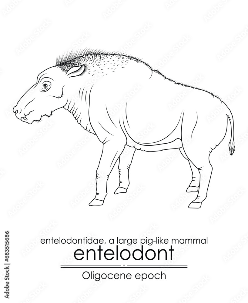 Entelodont, also known as the hell pig, was a large pig-like mammal ...