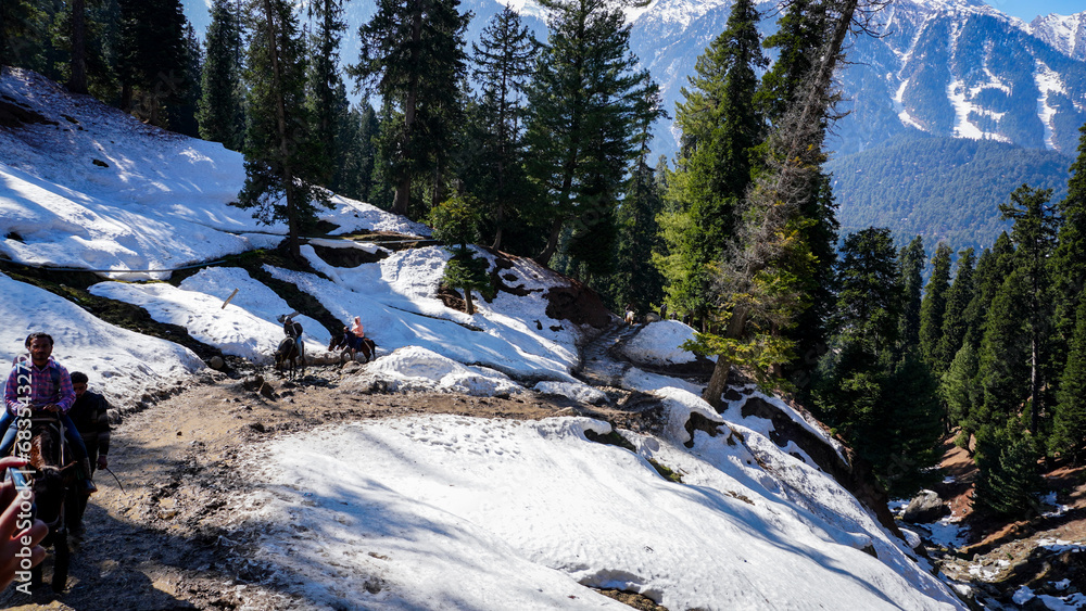 Pahalgam Majesty: Stunning Mountain Photography. Location: Pahalgam ...