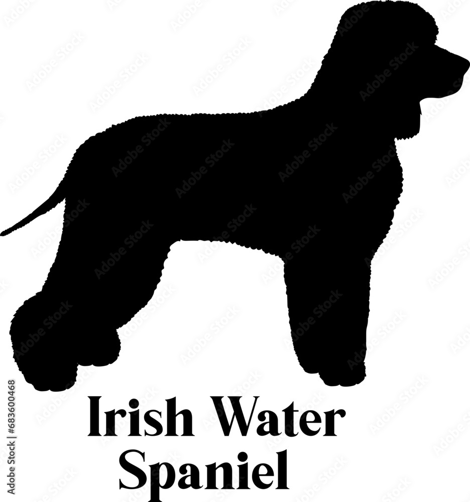 Irish Water Spaniel Dog silhouette dog breeds logo dog monogram logo ...