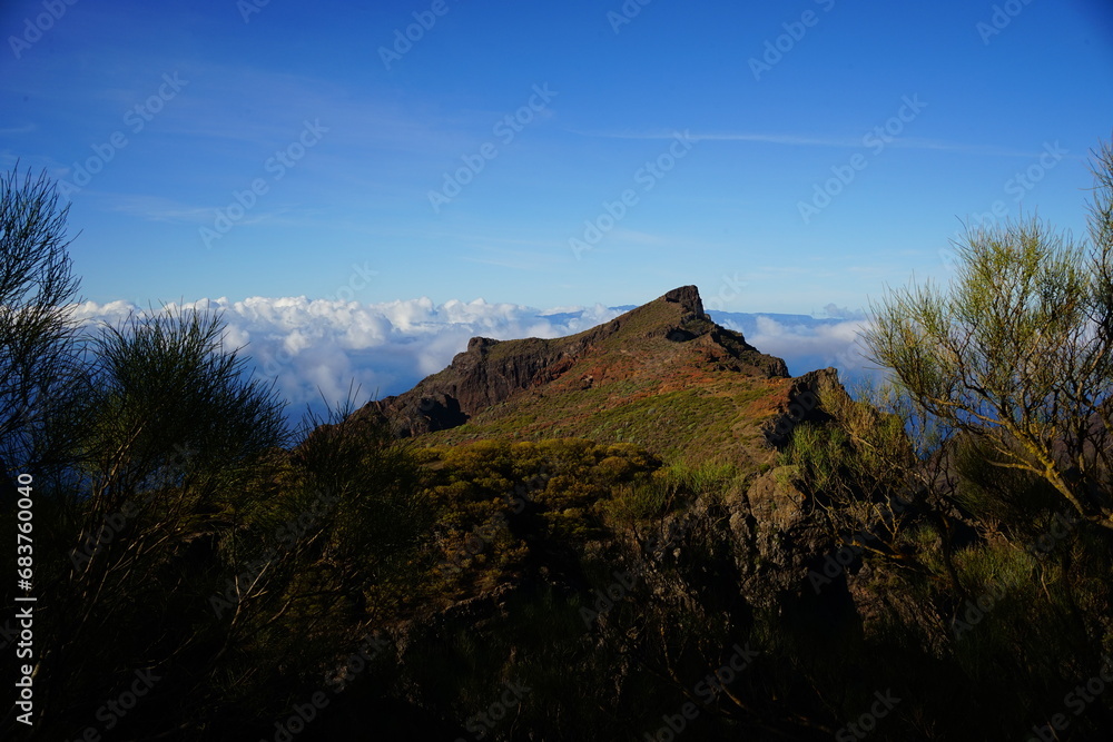 Mountain peak view through the trees with clouds covering the sea in ...
