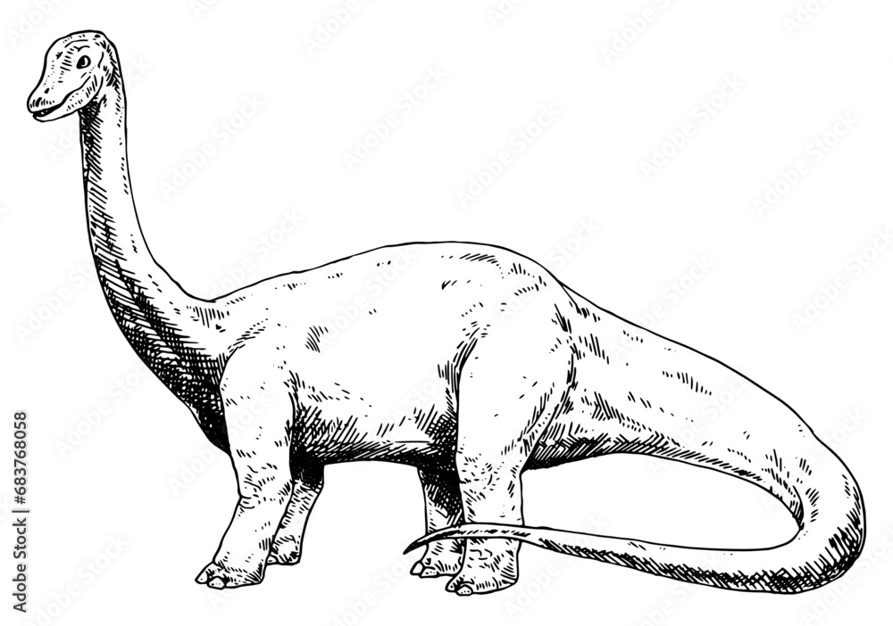 Brontosaurus vector illustration Stock Vector | Adobe Stock